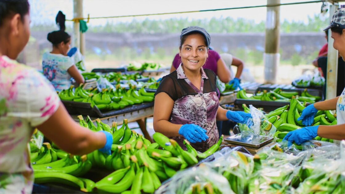 Belize INVEST - BELTRAIDE