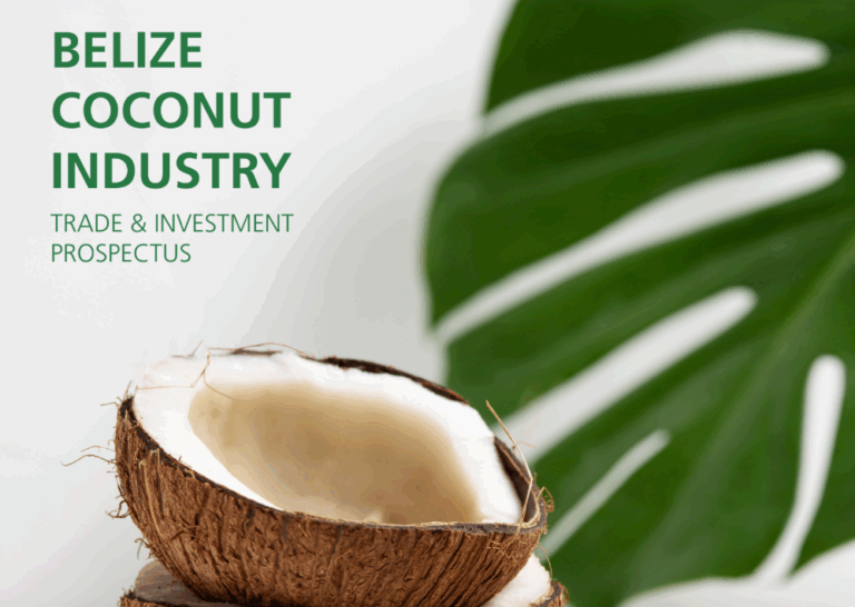Belize Coconut Industry: A high-potential for Income and Export Growth ...